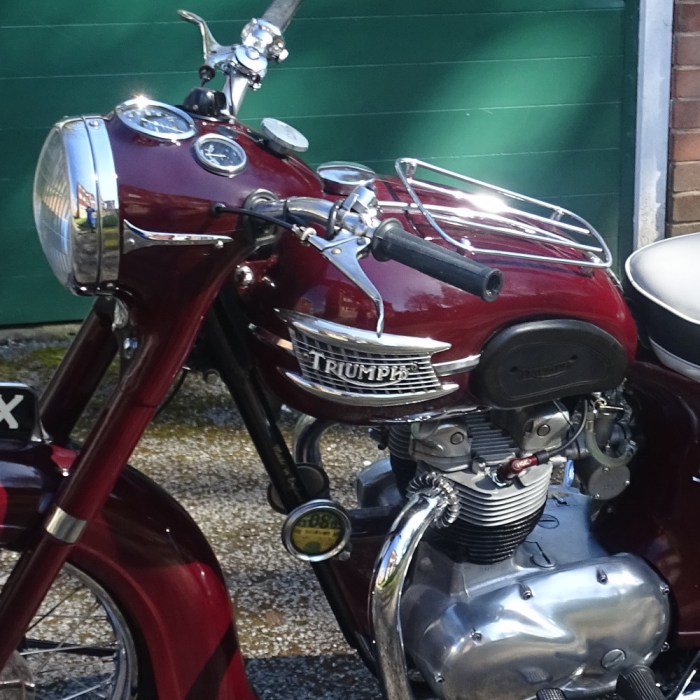 Triumph T140 - Stainless Classics