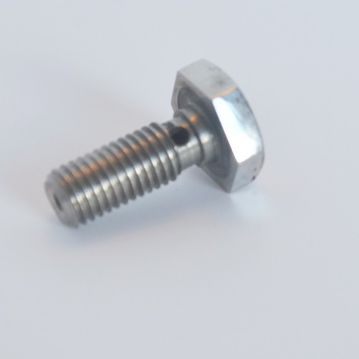 Norton Oval Spindle Cover Plate Bolts - Stainless Classics